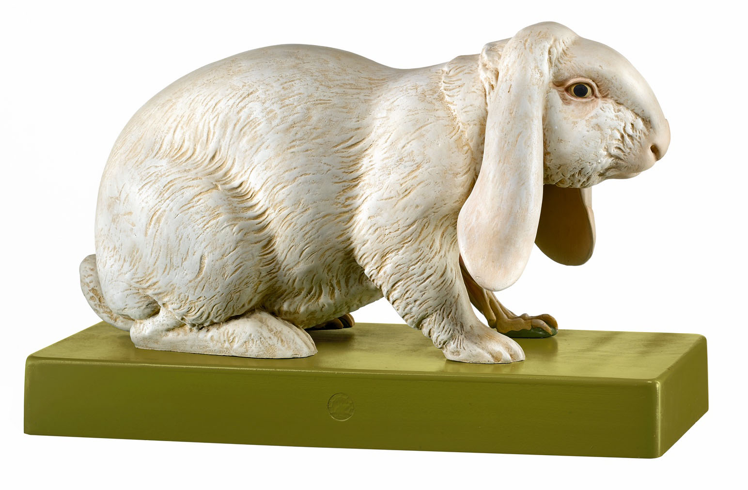 Domestic Rabbit - Adam,Rouilly