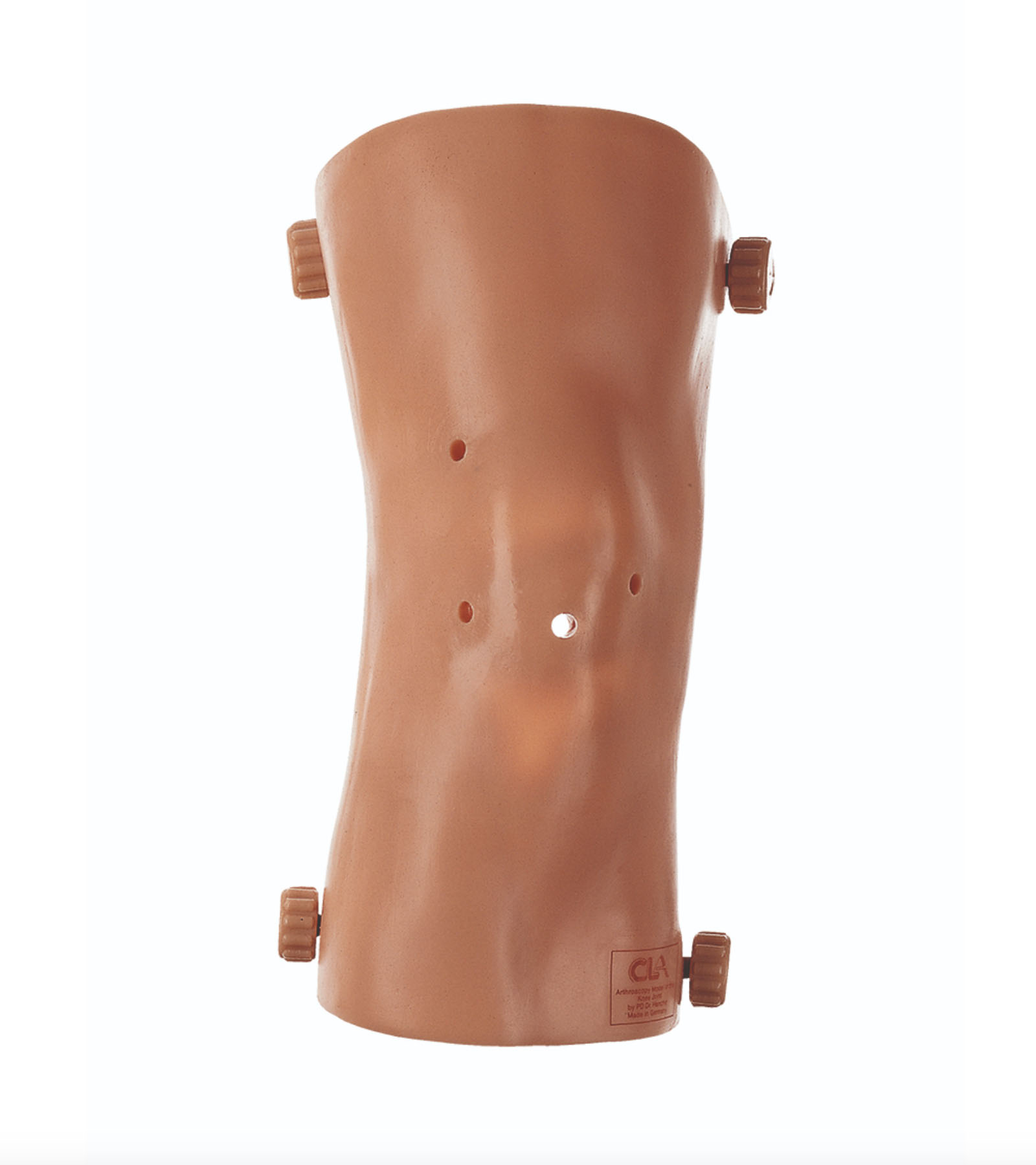 Skin/Muscle Covering - Adam,Rouilly