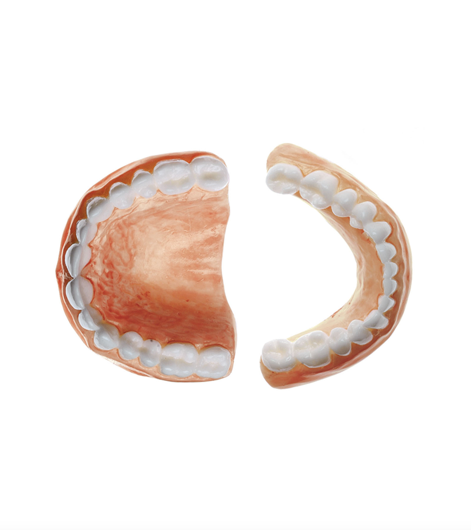 Upper and Lower Sets of Teeth - Adam,Rouilly