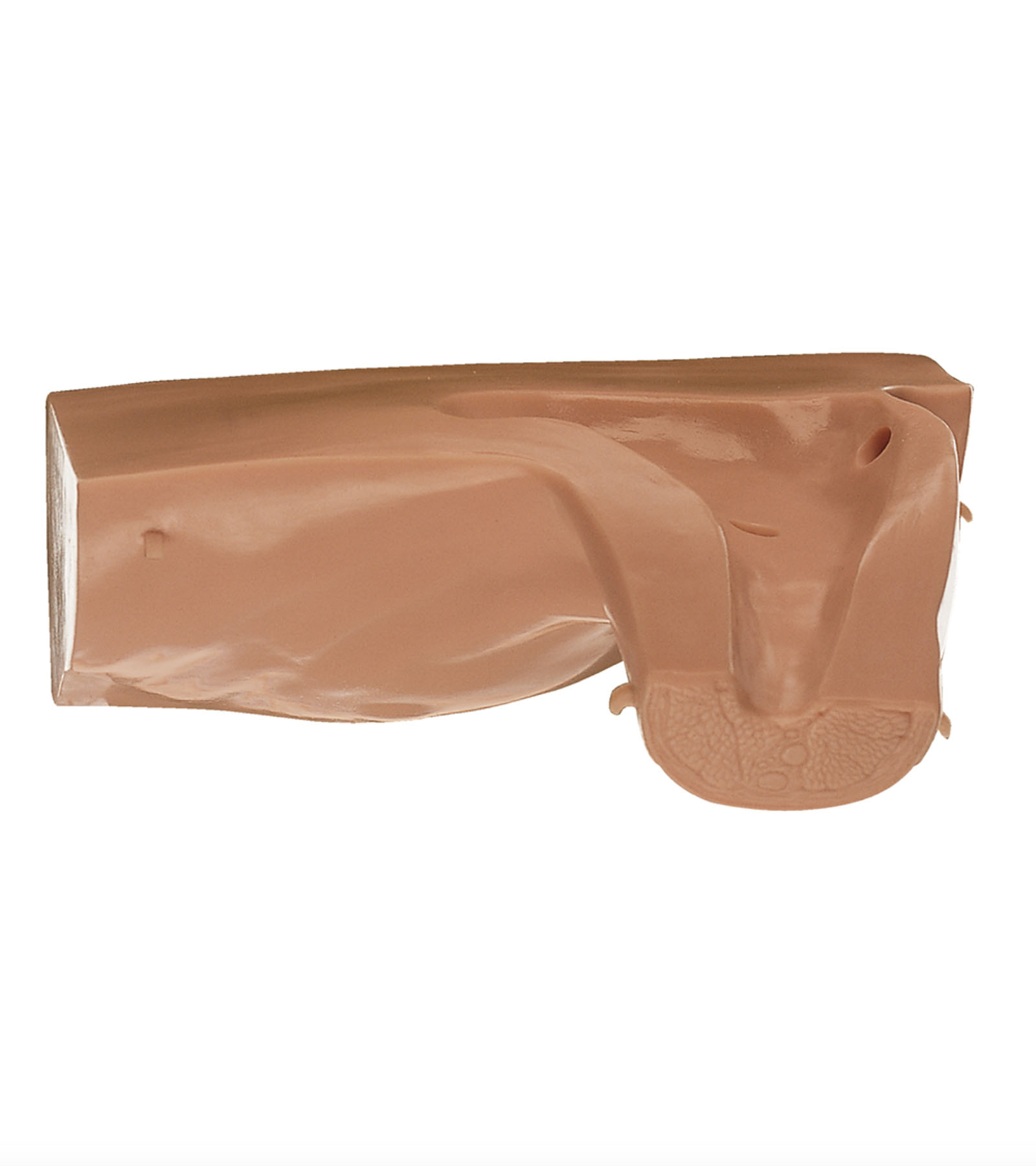 Skin and Muscle Envelope, Front - Adam,Rouilly