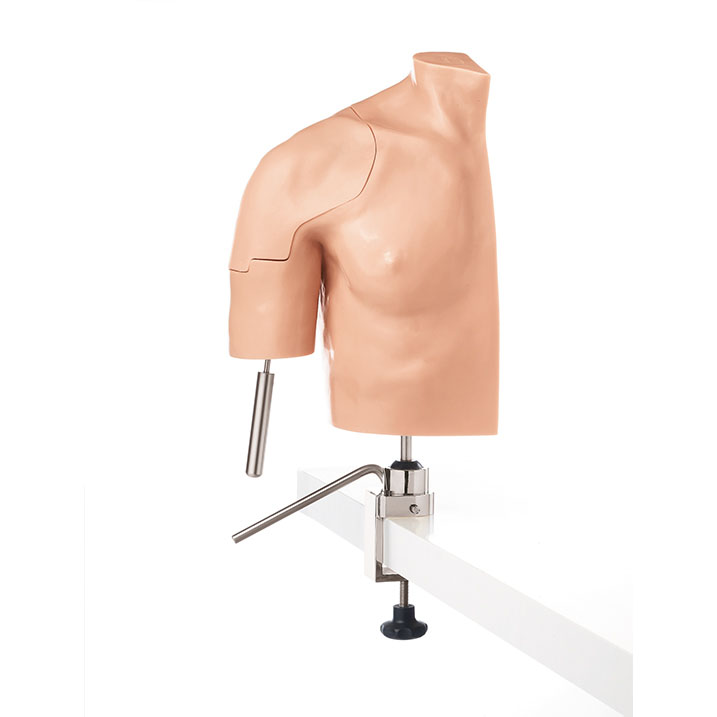 Arthroscopy Model of the Shoulder - Adam,Rouilly