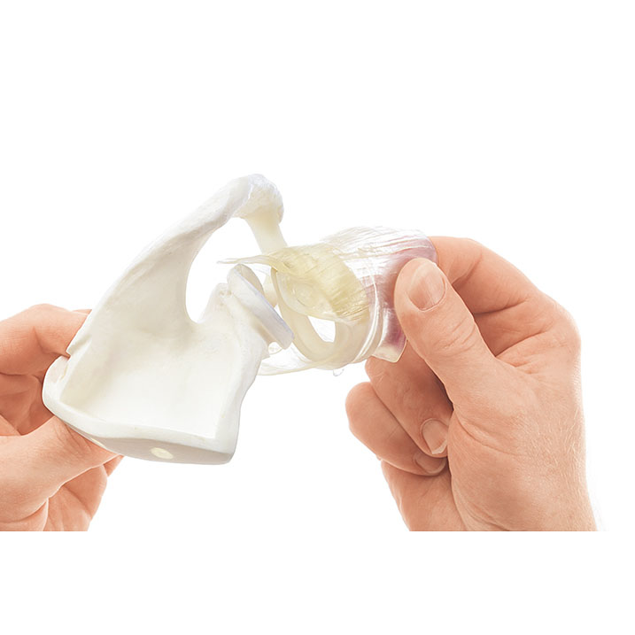 Arthroscopy Model of the Shoulder - Adam,Rouilly