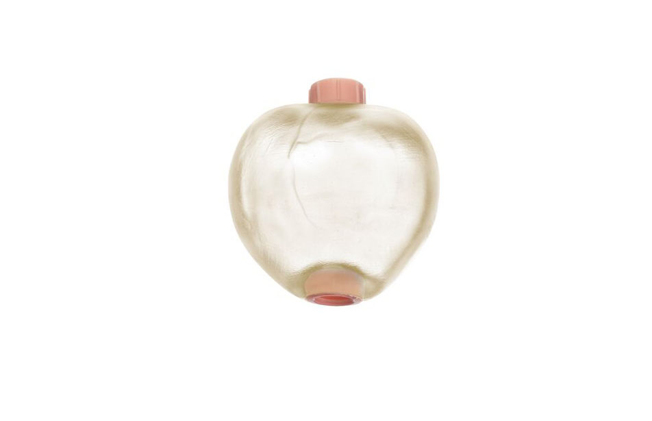 Intestine Packet - Adam,Rouilly