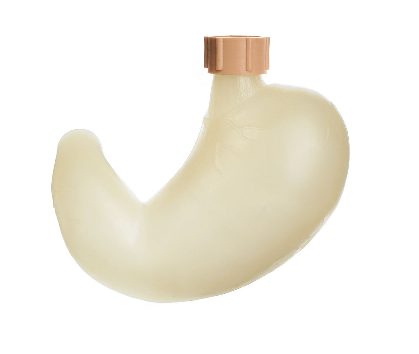 Stomach With Patent Closure - Adam,Rouilly