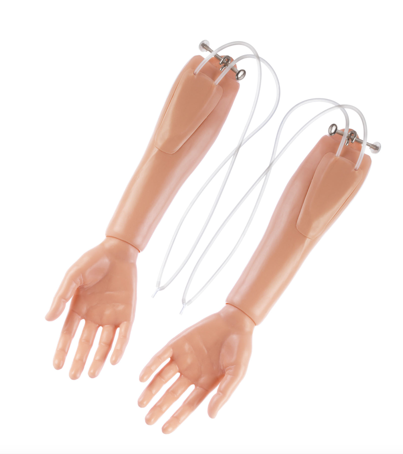 Right Forearm With Hand - Adam,Rouilly