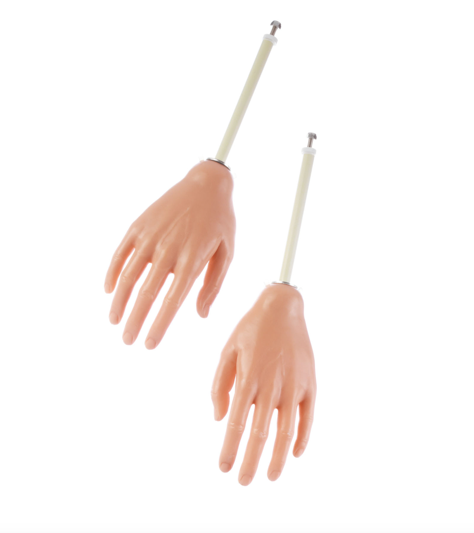 Hand, Left - Adam,Rouilly