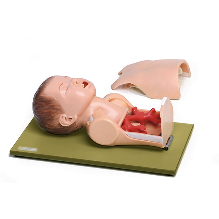 Broncho Junior - Adam,Rouilly