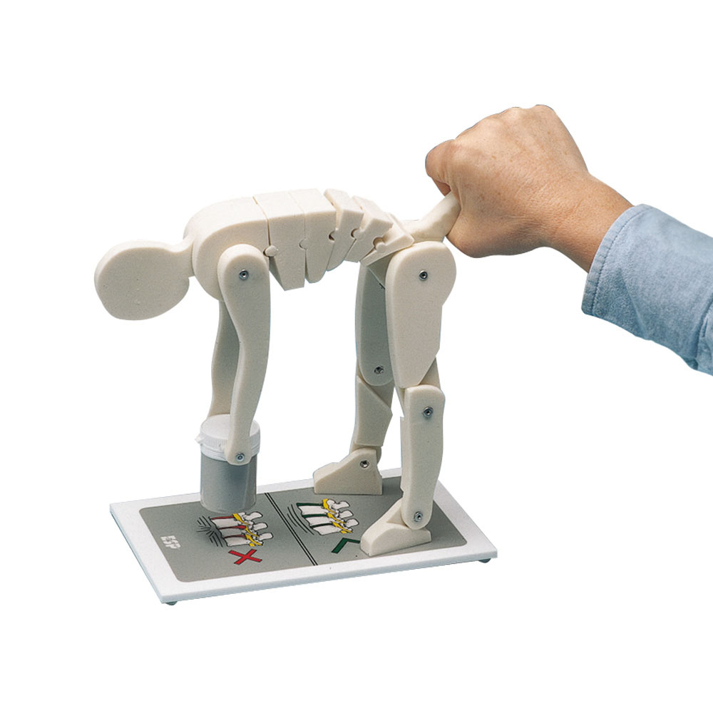 Lifting Manikin - Adam,Rouilly