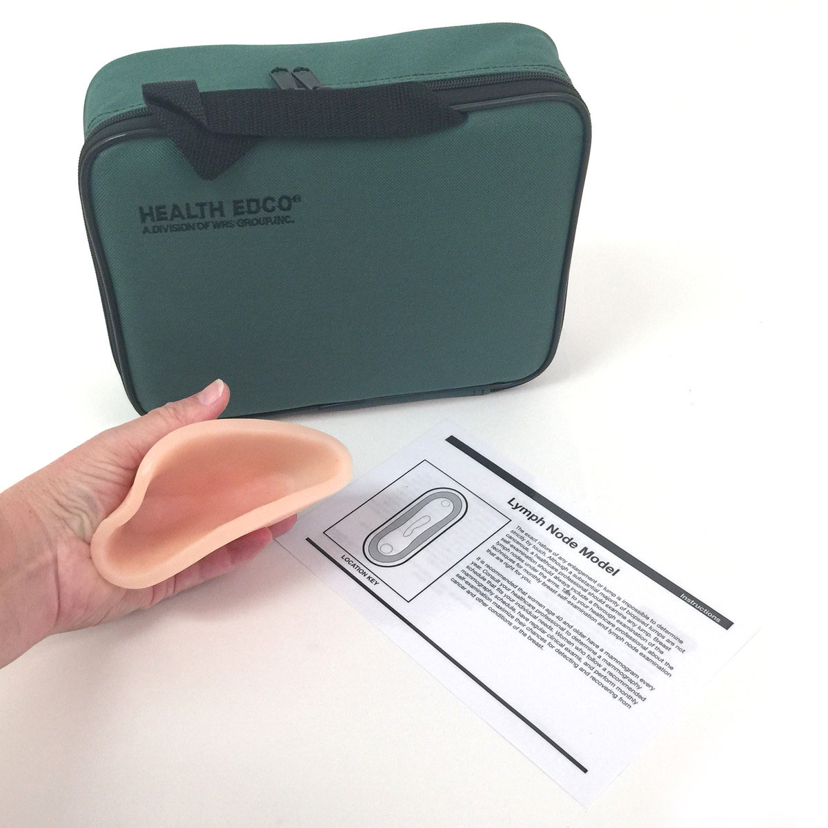 Axillary Lymph Node Model | Adam,Rouilly