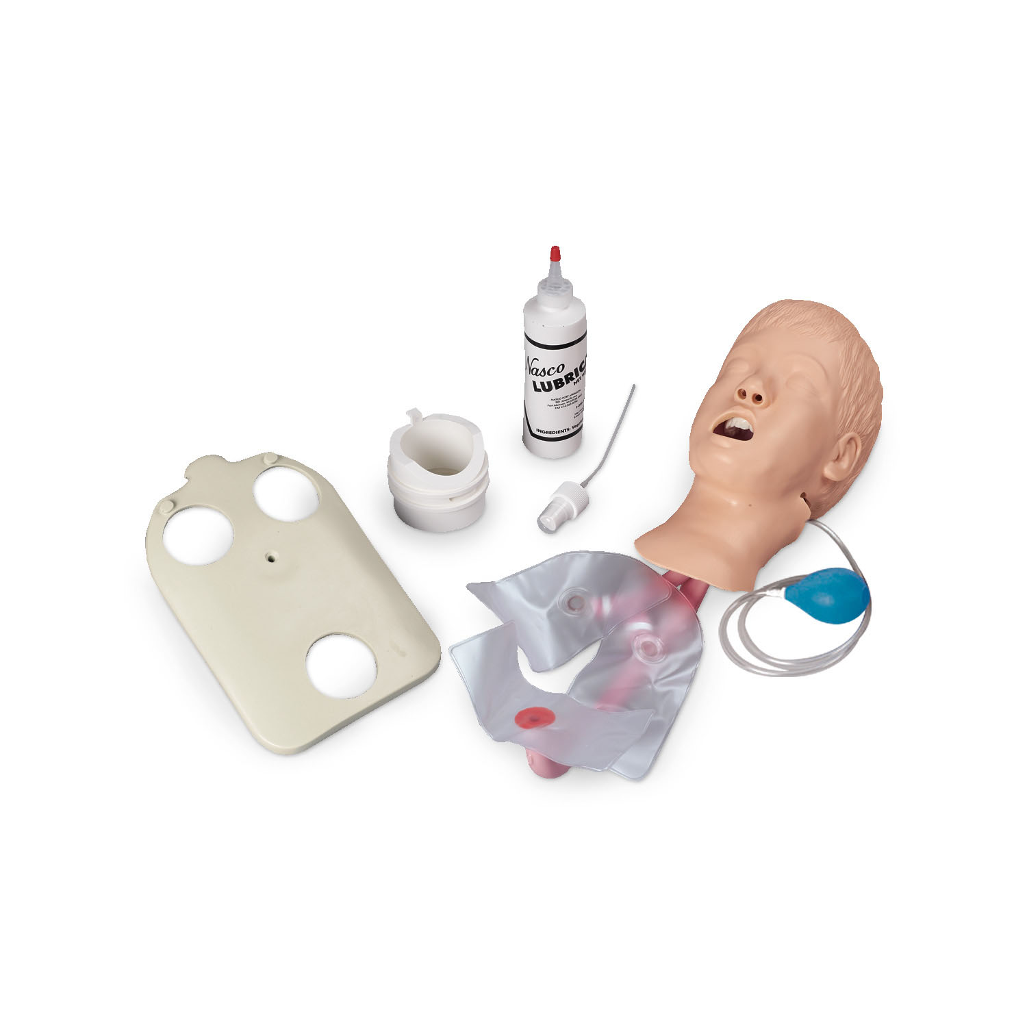 Child Airway Management Trainer Head With Lungs and Stomach - Adam,Rouilly