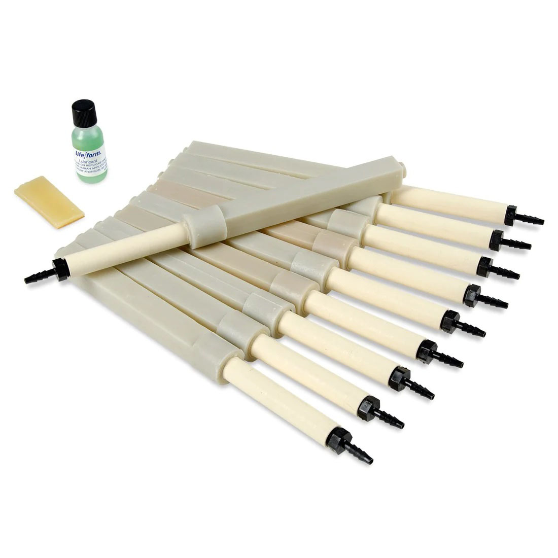 Bone Kit (Pack of 10) - Adam,Rouilly