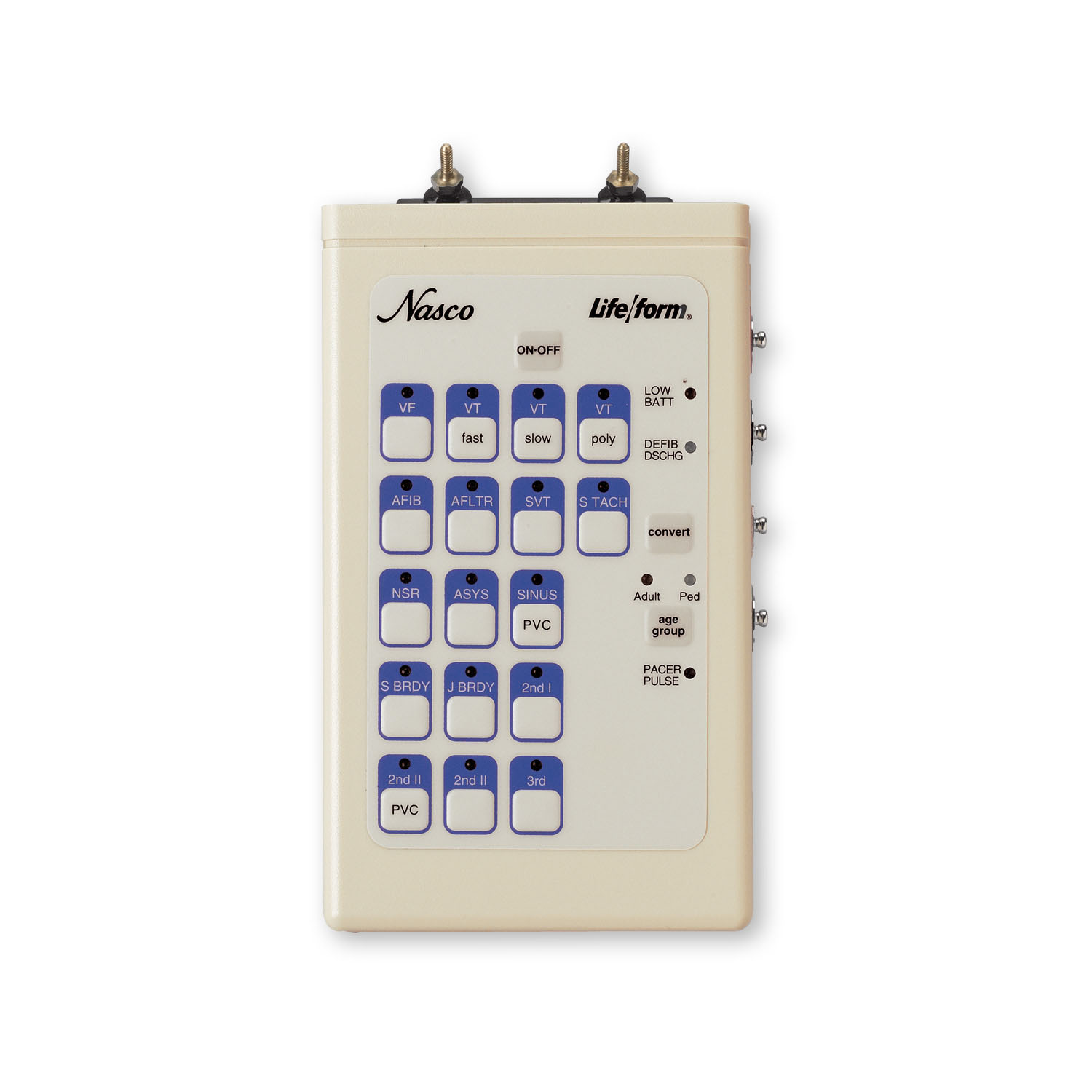 Interactive Ecg Simulator - Adam,Rouilly