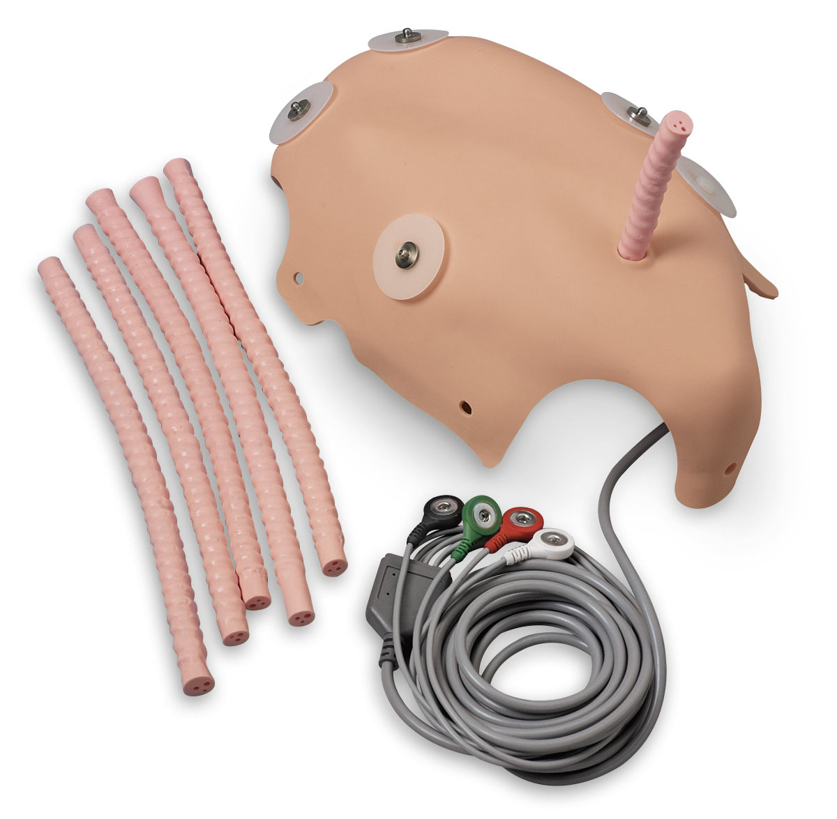 Ecg/Umbilical Cannulation Skin - Adam,Rouilly