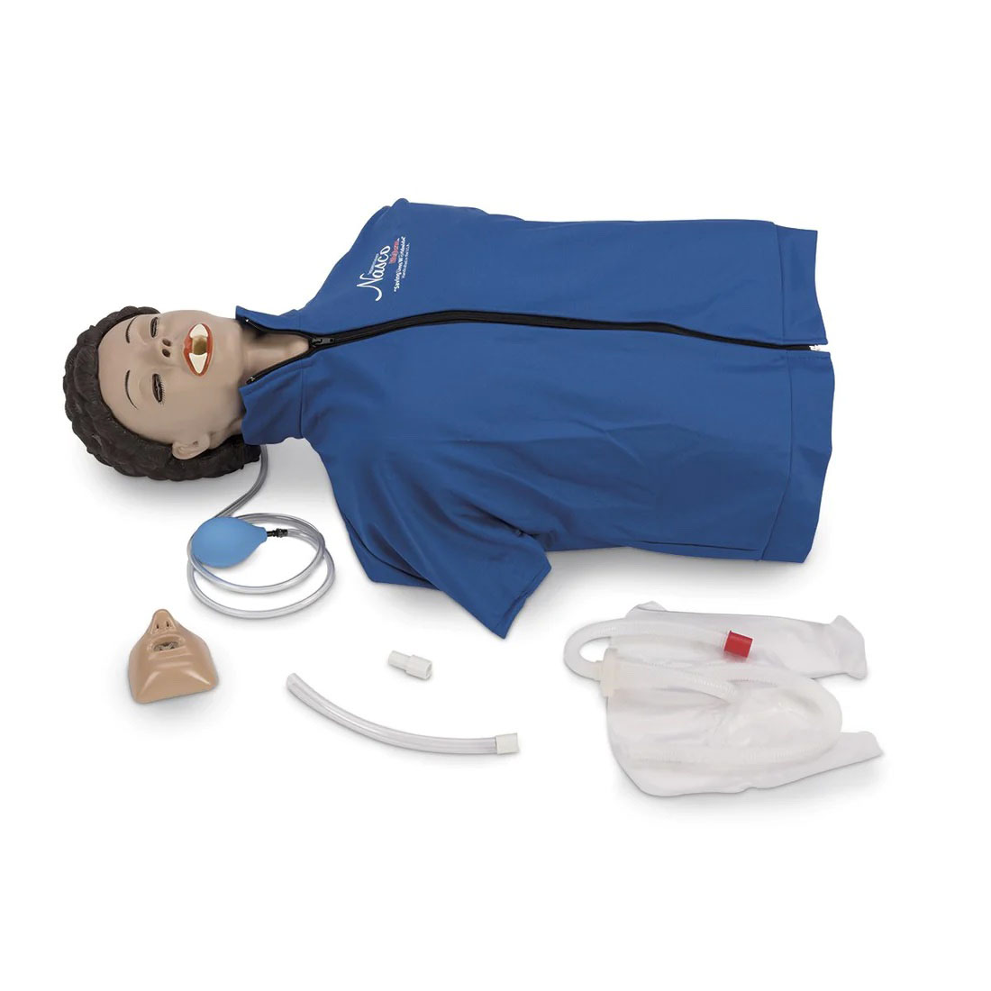 CPARLENE Basic Torso - Adam,Rouilly