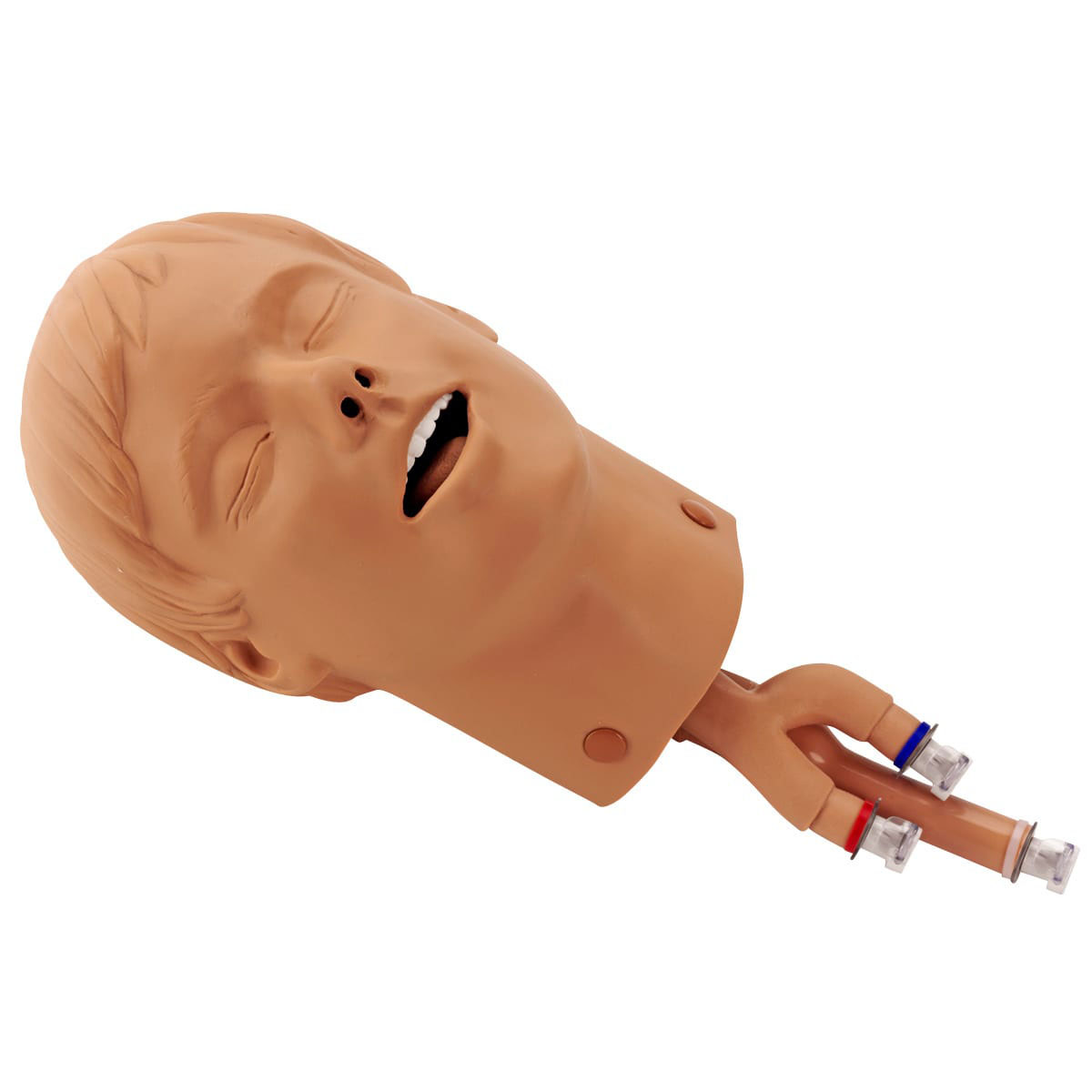 Intubation Head - Adam,Rouilly