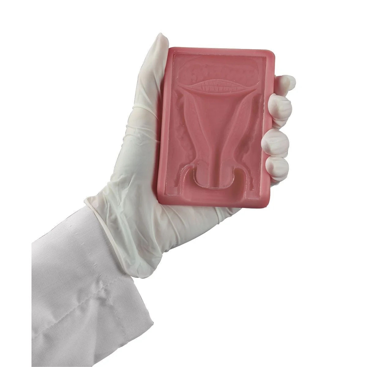 IUD Trainer - Adam,Rouilly