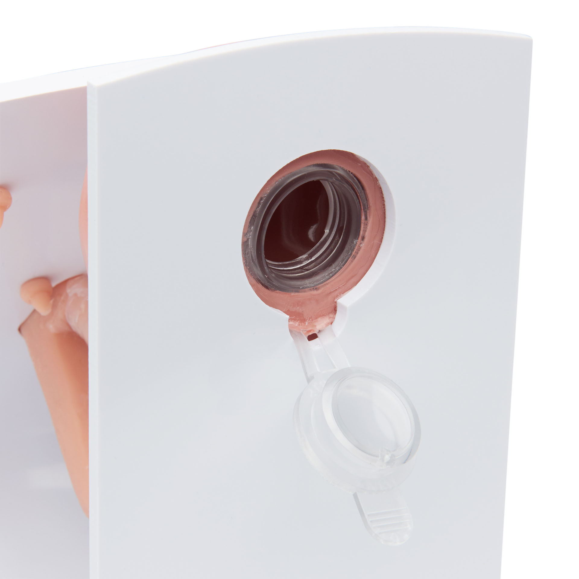 Male and Female Catheter Model Set - Adam,Rouilly