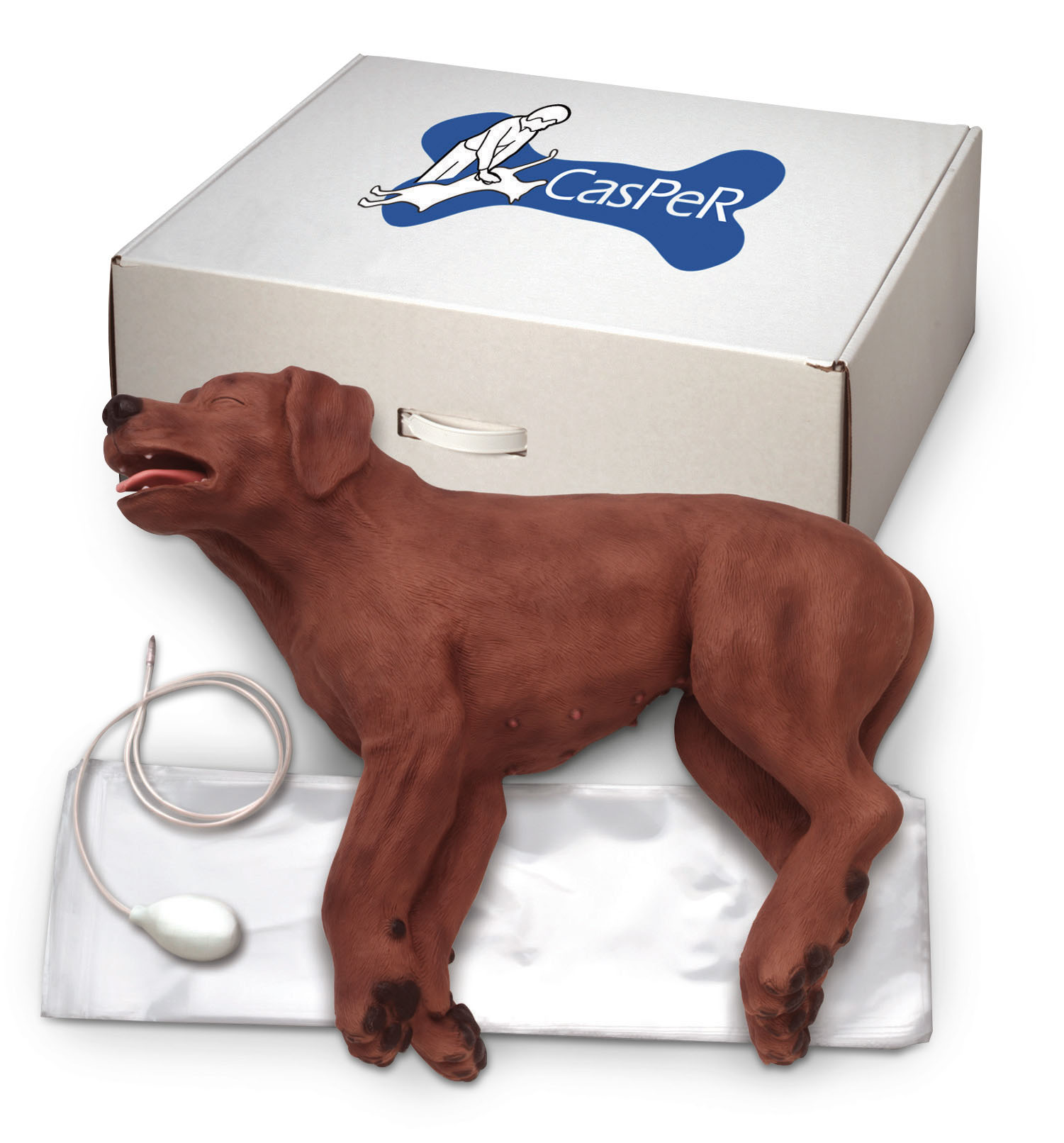 Casper the CPR Dog - Adam,Rouilly