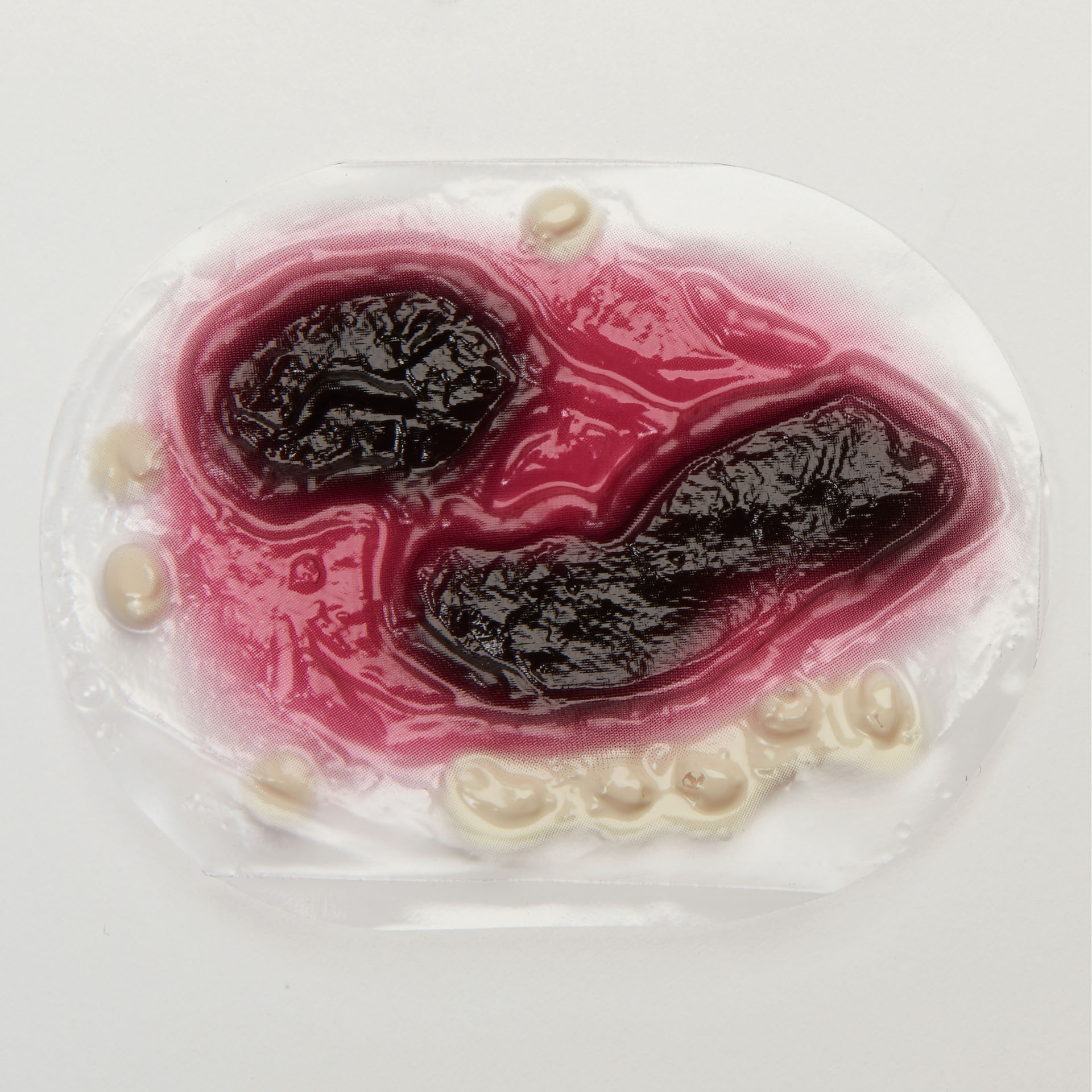 Basic Casualty Simulation Kit - Adam,Rouilly