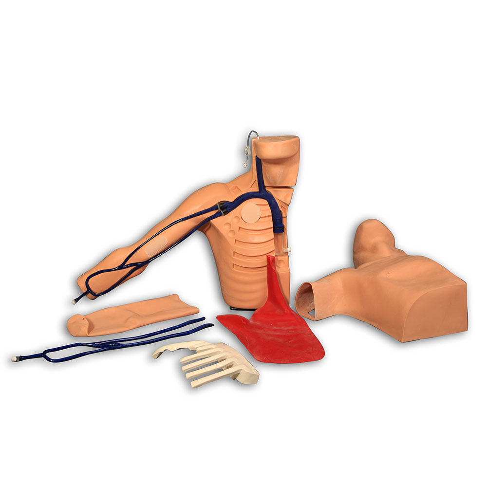 Peter PICC Line Model With Case | Adam,Rouilly