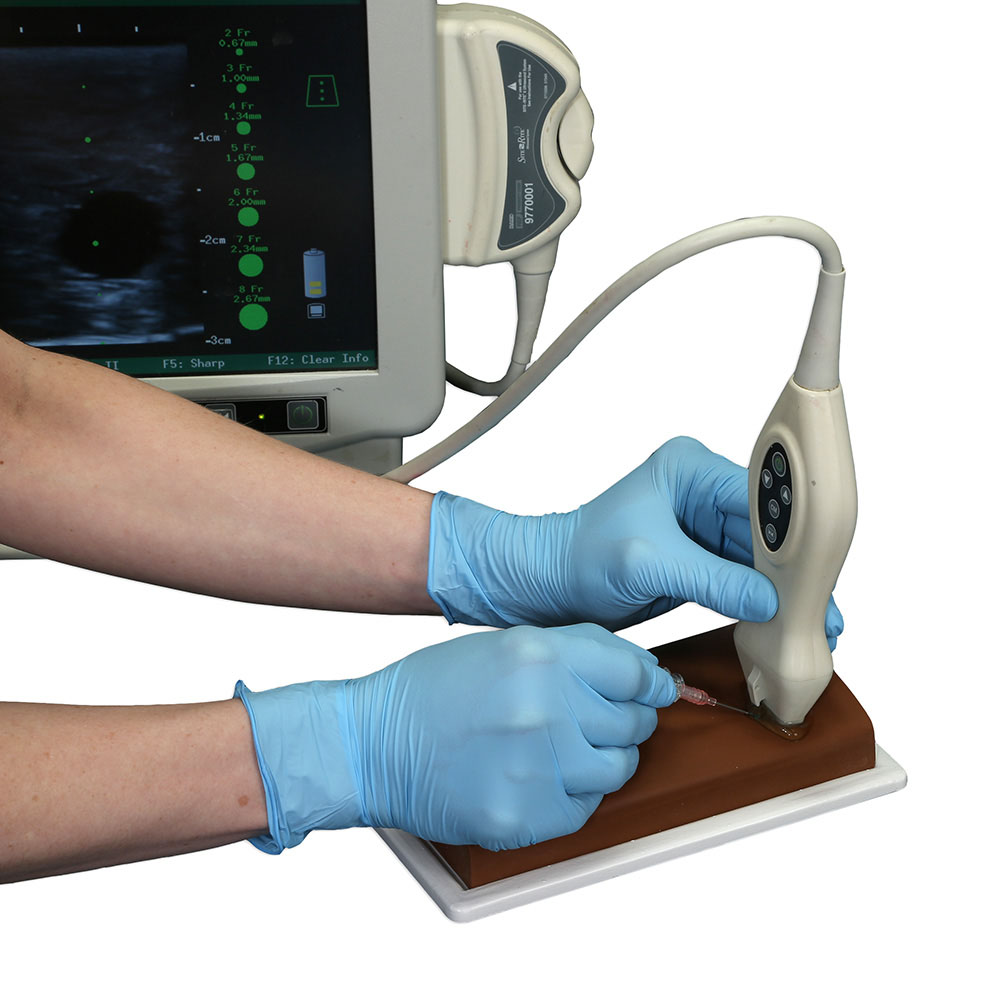 Vascular Access Ultrasound Phantom, Dark | Adam,Rouilly